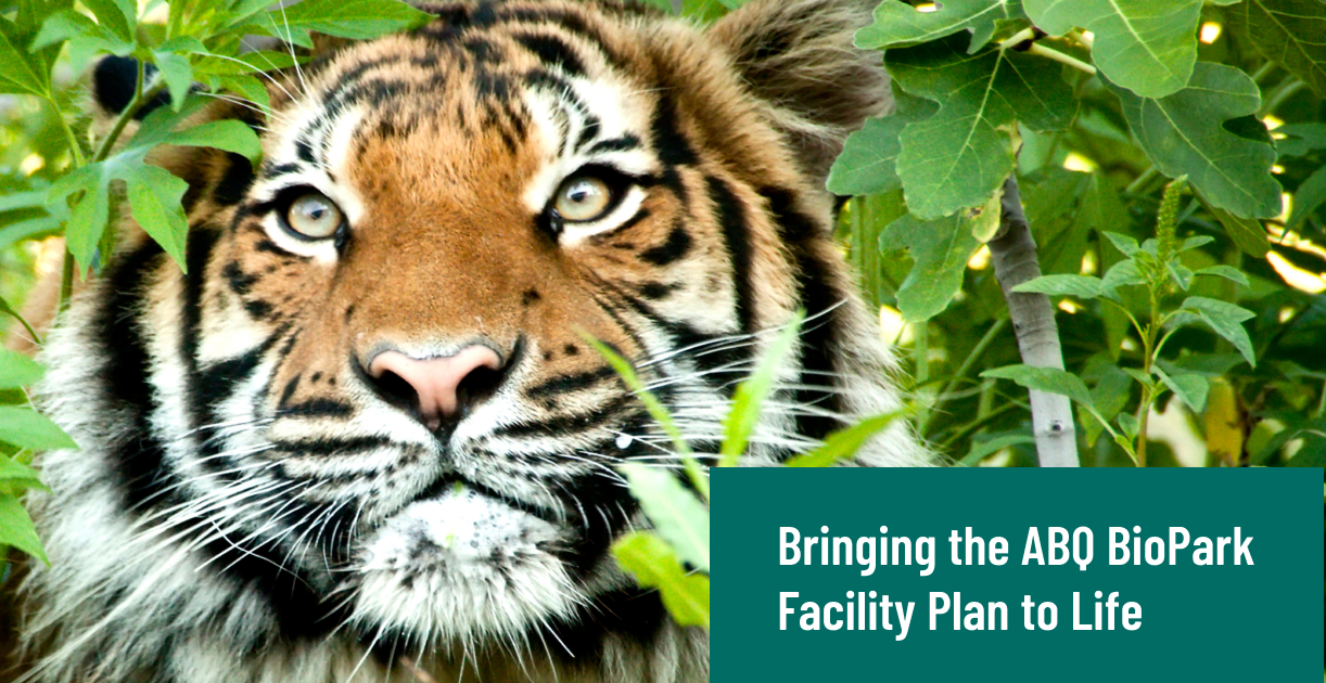 Bringing the ABQ BioPark Facility Plan to Life